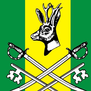 Иконка канала шилкинский.рф