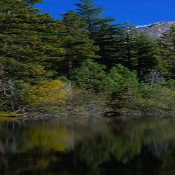 Иконка канала Green