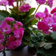 Иконка канала Ирина Дедова.Рукоделие и не только