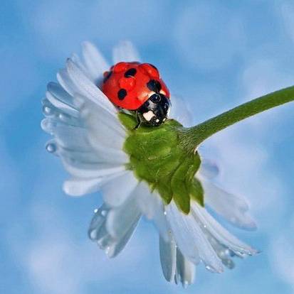 Иконка канала Ирина. Простая жизнь