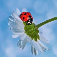 Иконка канала Ирина. Простая жизнь