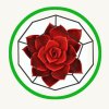 Иконка канала Flora-Glass магазин и музей флорариумов