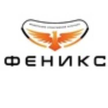 Иконка канала Федерация спортивной нунчаку " ФЕНИКС"