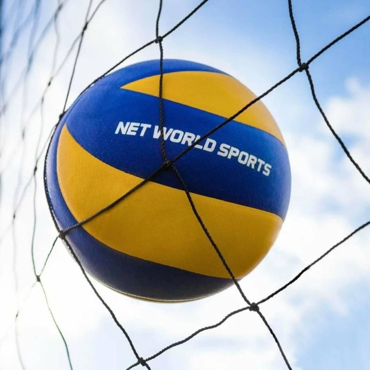 Иконка канала Волейбол в Металлострое