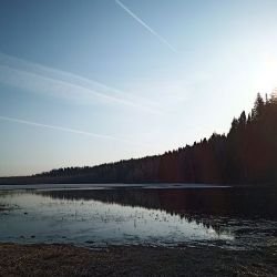 Иконка канала ilezyanin