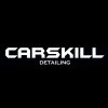 Иконка канала Carskill