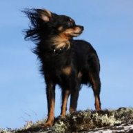 Иконка канала БОЛЬШЕ РЫБАЛКИ