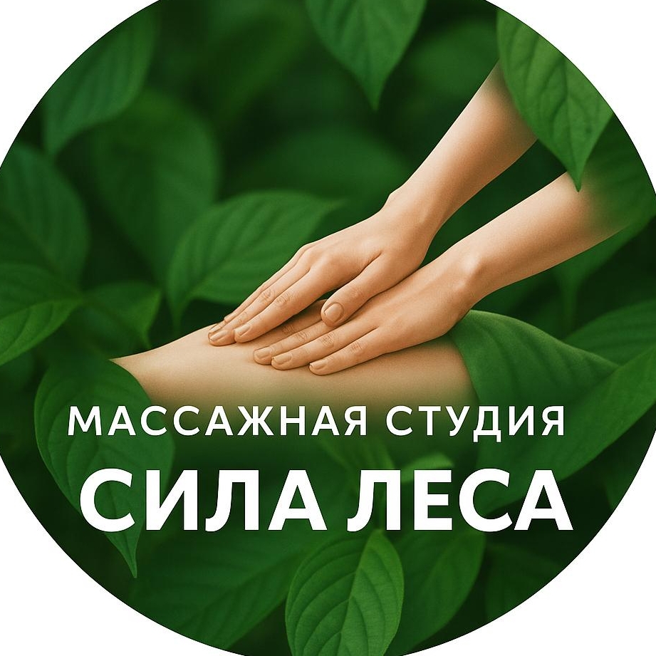 Иконка канала SPA "СИЛА ЛЕСА"