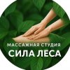 Иконка канала SPA "СИЛА ЛЕСА"