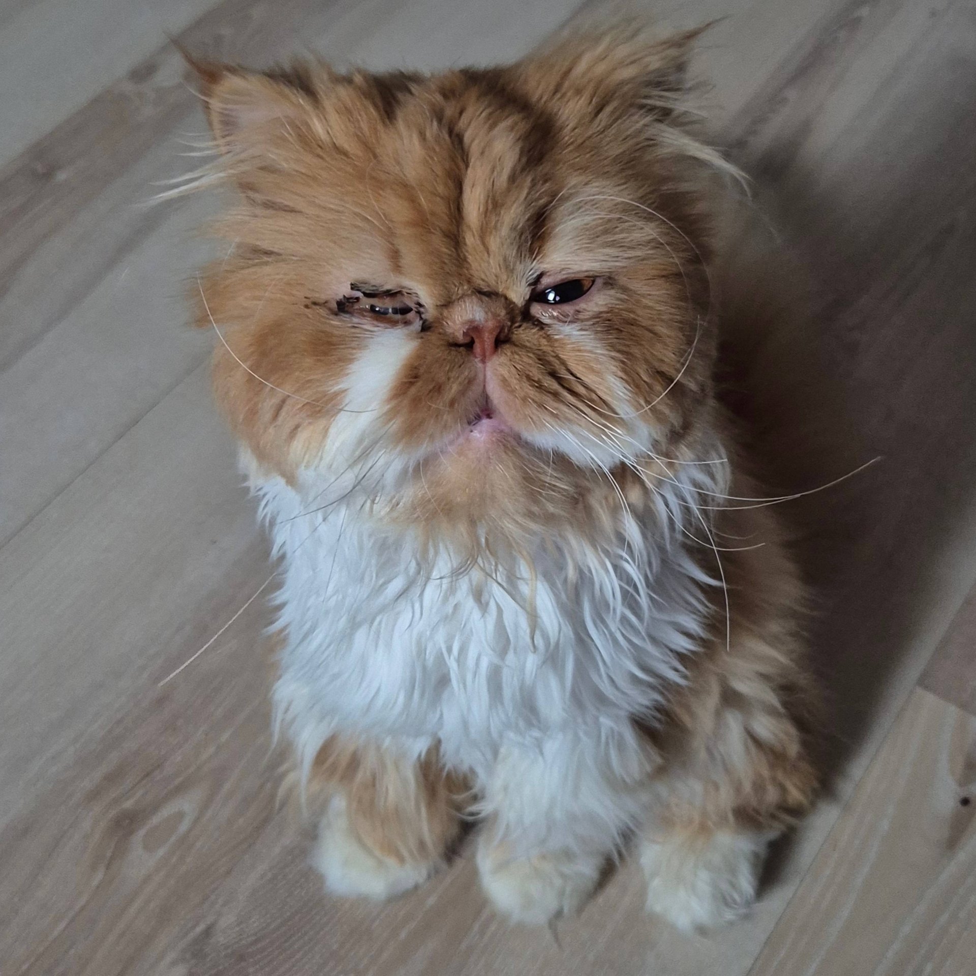 Иконка канала Mr.simba