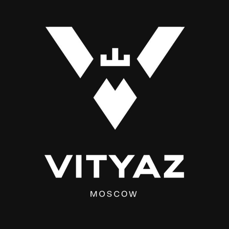 Иконка канала Академия VITYAZ PRO