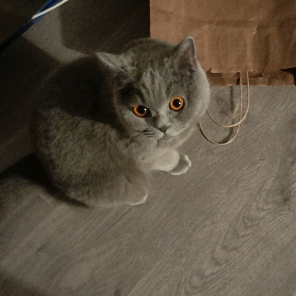 Иконка канала Игромания