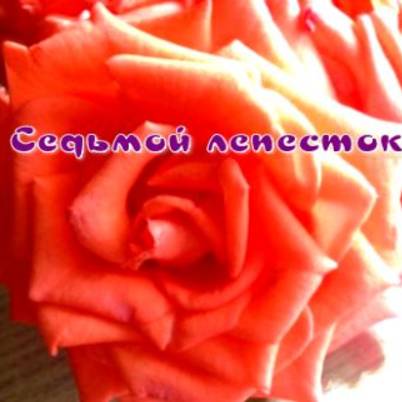 Иконка канала Седьмой лепесток