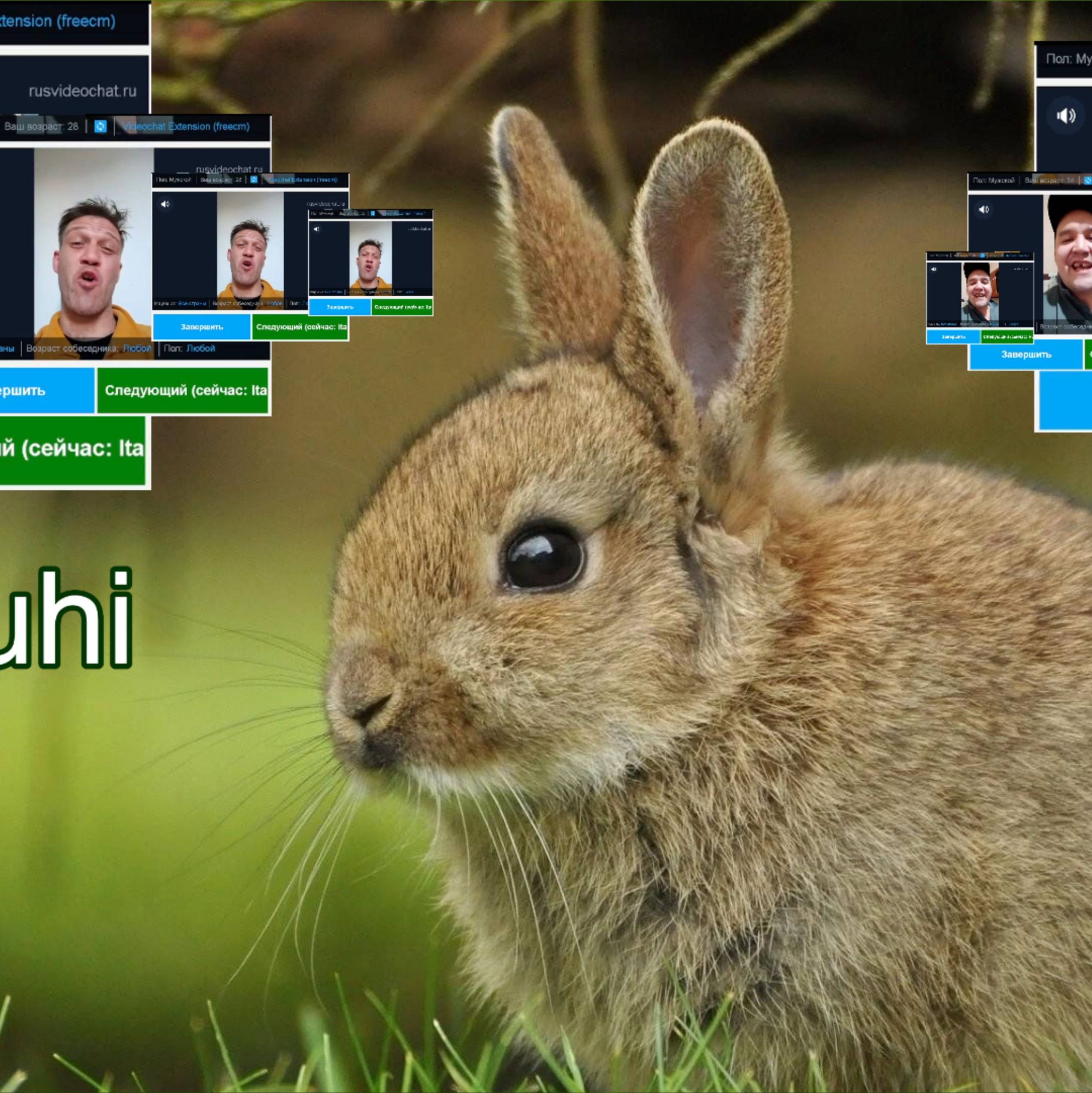 Иконка канала fofoguhi