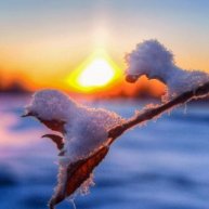 Иконка канала УЮТНЫЙ ДВОРИК ДЛЯ ДУШИ