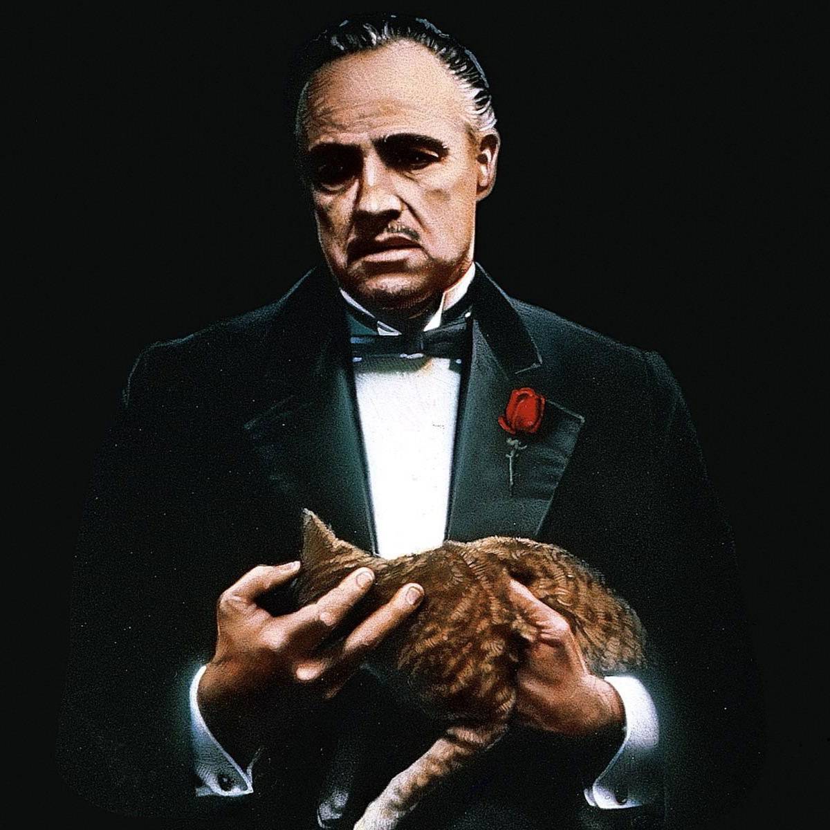 Иконка канала All about movies