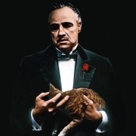 Иконка канала All about movies