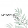 Иконка канала Openew - открывая новое