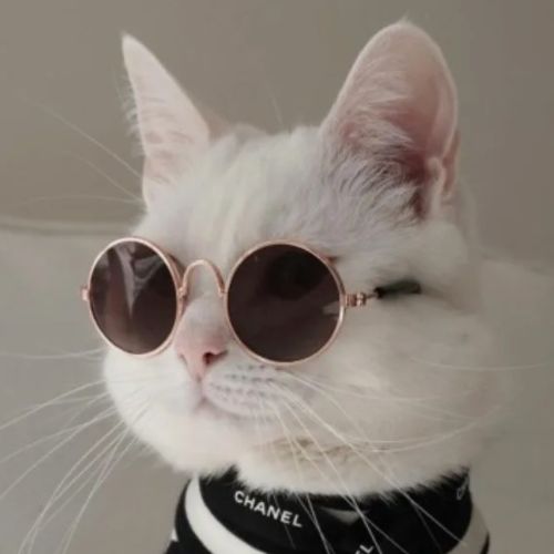 Иконка канала YU