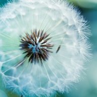 Иконка канала Ольга Герасимова