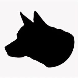 Иконка канала fasdog