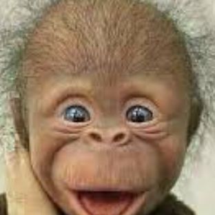 Иконка канала HahaStorm