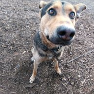 Иконка канала Евгений Ко