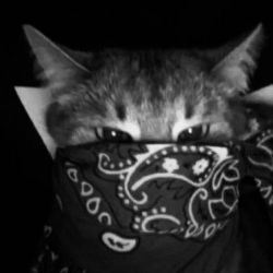 Иконка канала КРУТОЙ ЧЕЛ