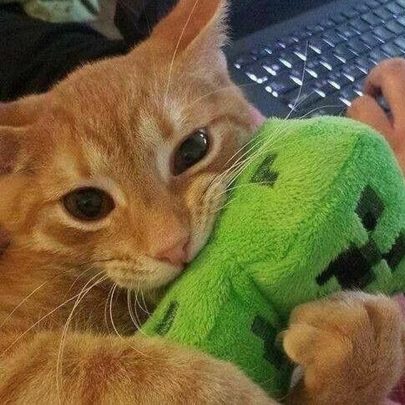 Иконка канала MATRELN5678