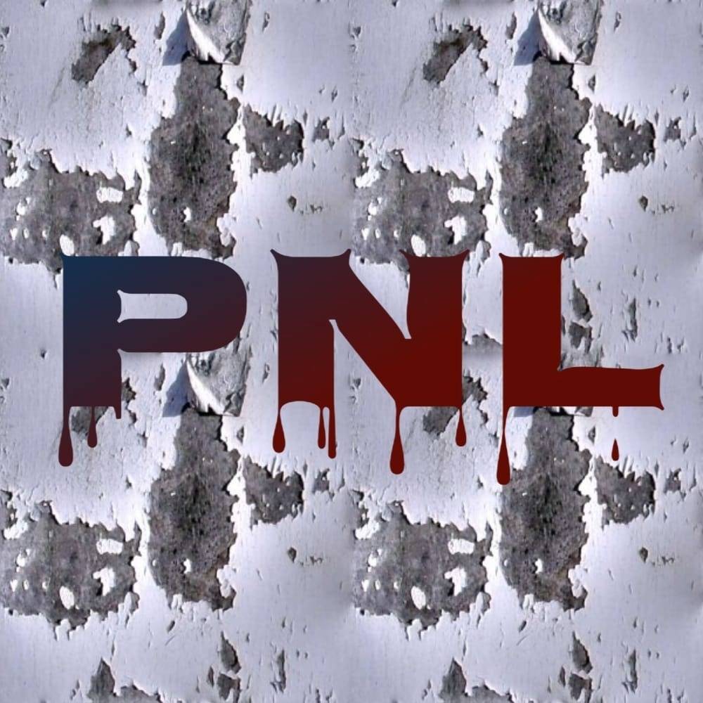 Иконка канала PNLTV