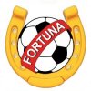Иконка канала ФК Фортуна