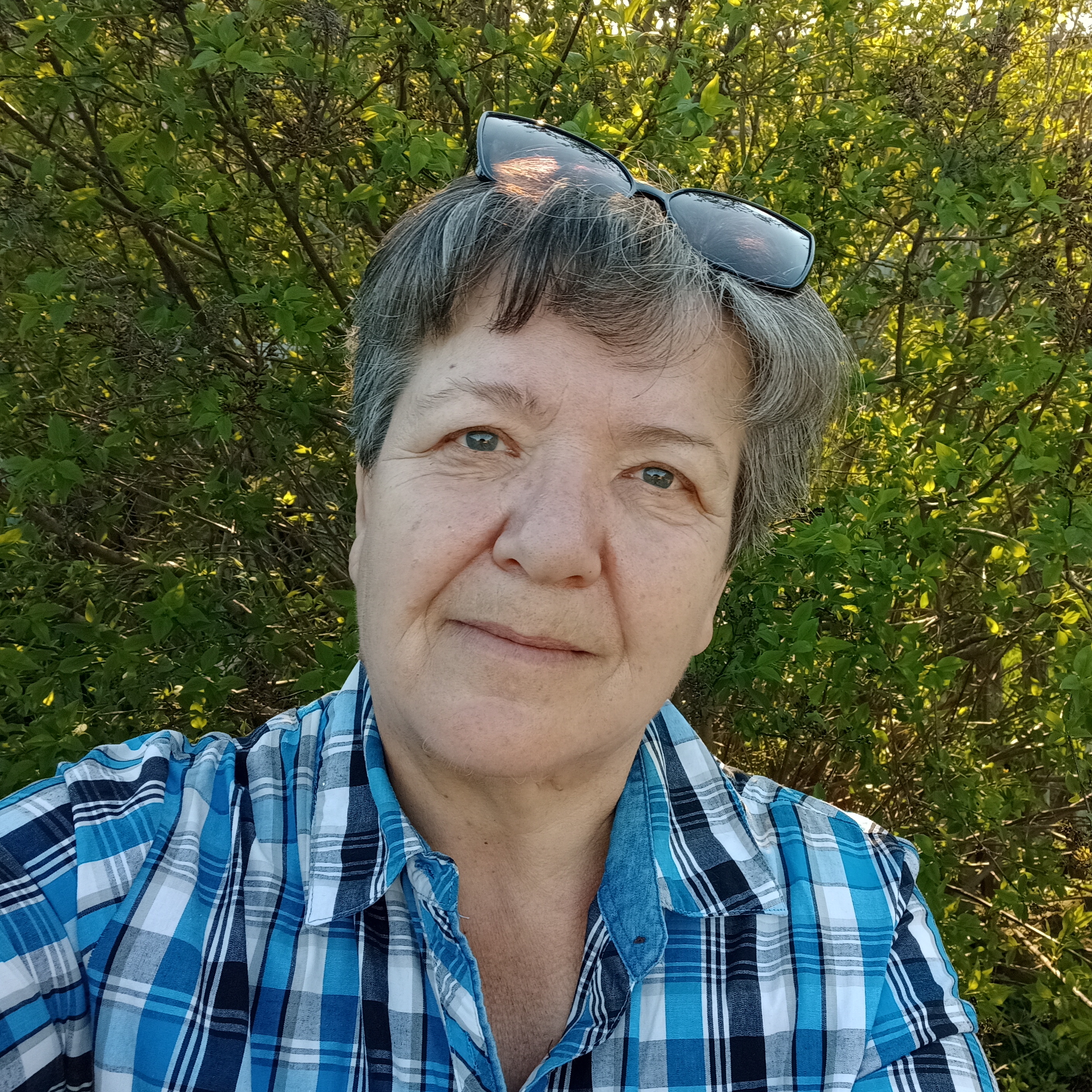 Иконка канала Влоги с южного хутора