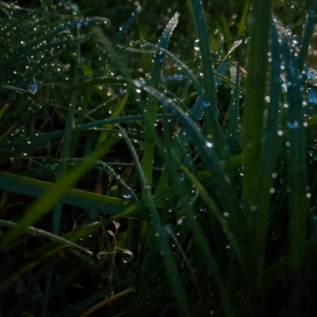 Иконка канала √~•милка•~√