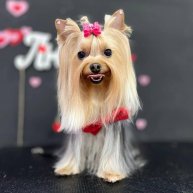 Иконка канала ToBeStar