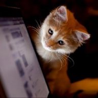 Иконка канала Компьютерный клуб КОД