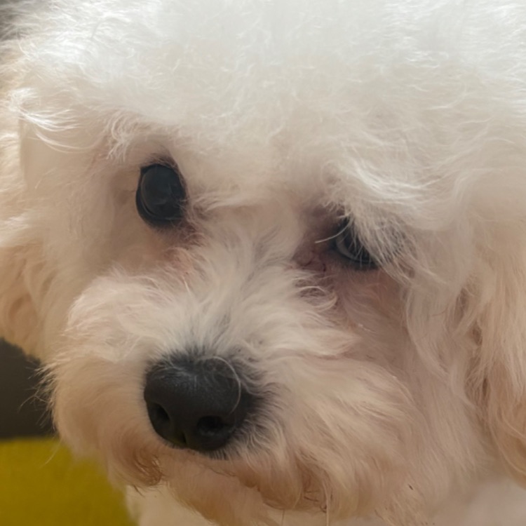 Иконка канала channel61528287