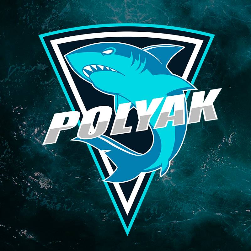 Иконка канала Polyak