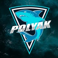Иконка канала Polyak