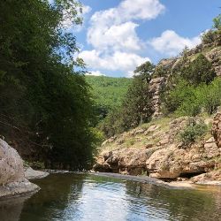 Иконка канала Записи эфиров Тамира Шейха о Шавкате