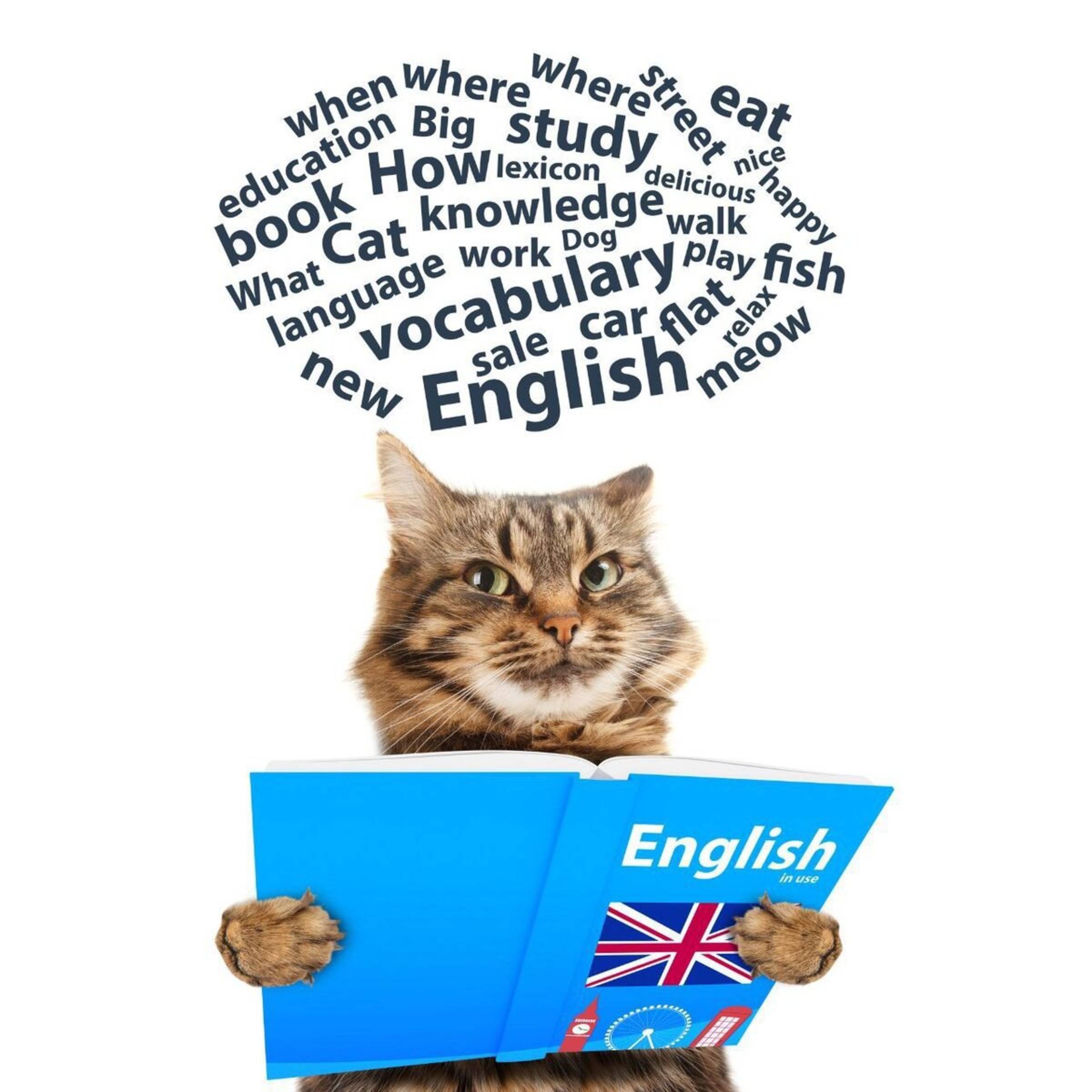 Иконка канала English Journey