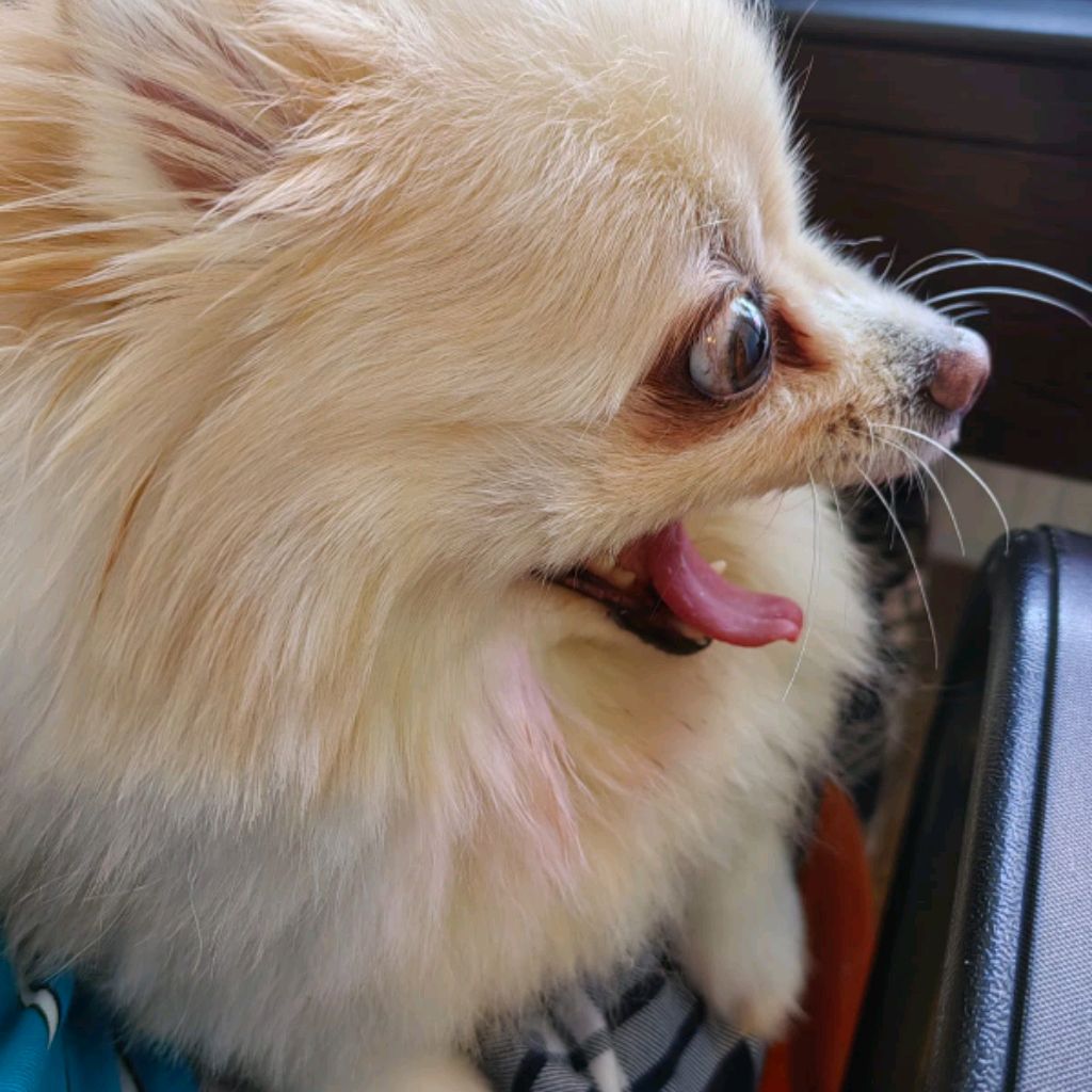 Иконка канала Юля Афанасьева