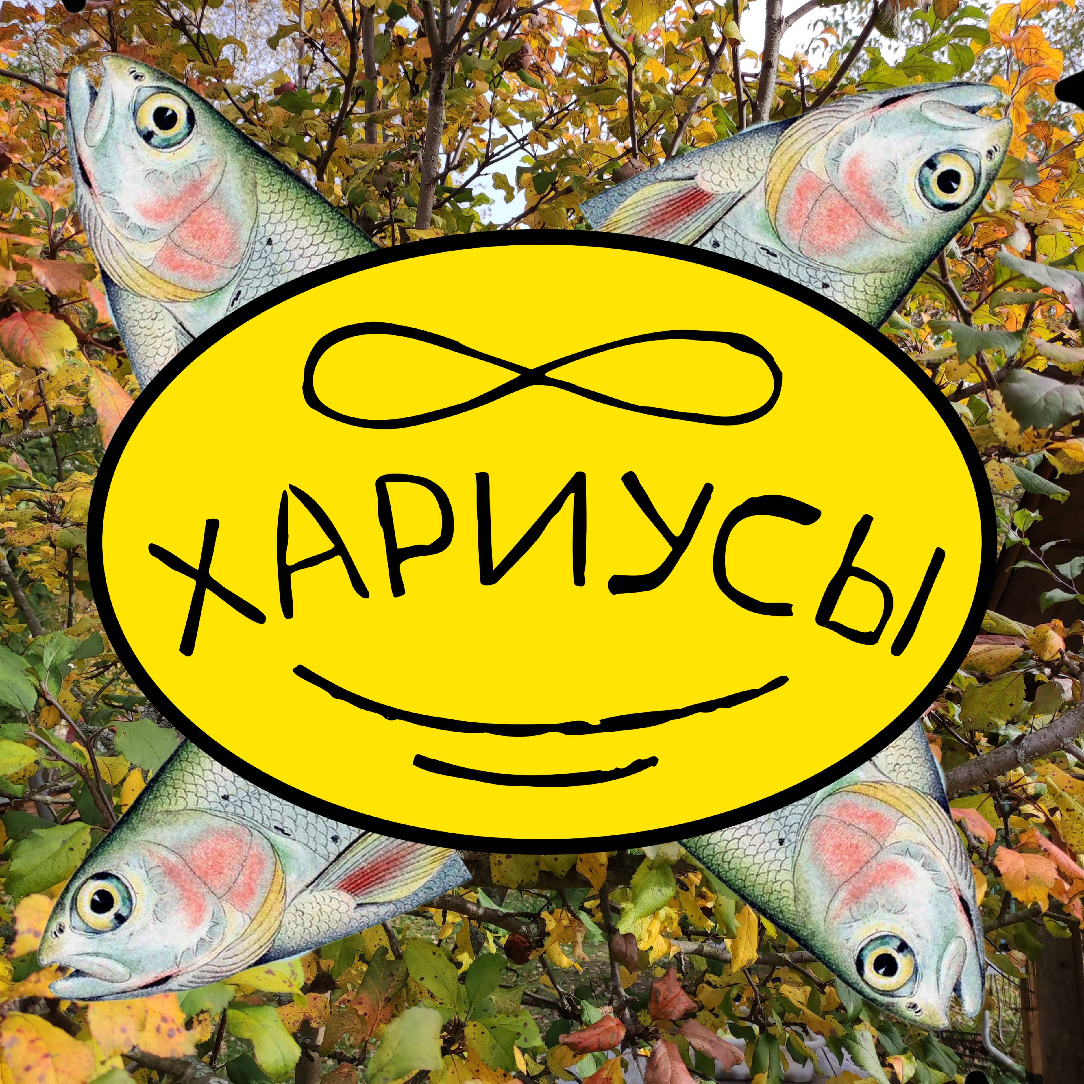 Иконка канала Команда Хариусы