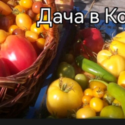 Иконка канала Дача в Кобрино