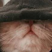 Иконка канала PROSTOYPRIEST