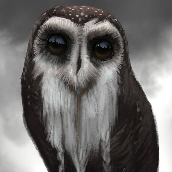 Иконка канала СОВА ВЕДЕТ РАССКАЗ