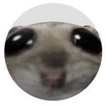 Иконка канала hamster Roblox Studeo