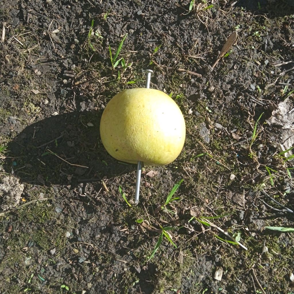 Иконка канала Лака и Лира Страшилки