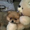 Иконка канала Илья