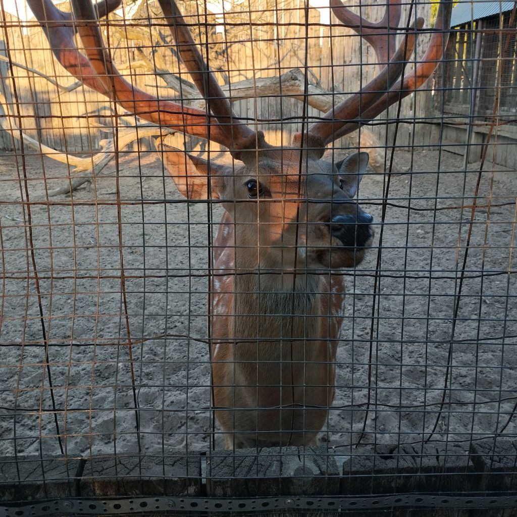 Иконка канала Pley