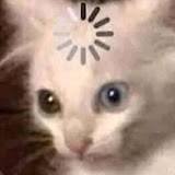 Иконка канала медиаком и веселье